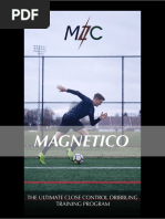 ZTH Player Accelerator Training Plan | PDF | Foot | Ball Games