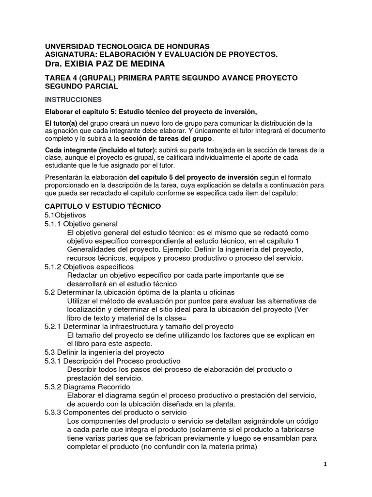 Tarea 4 Grupal Primera Parte Segundo Avance Del Proyecto | PDF | Economias | Informática