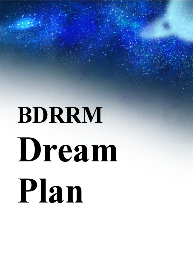 BDRRM: Dream Plan | PDF