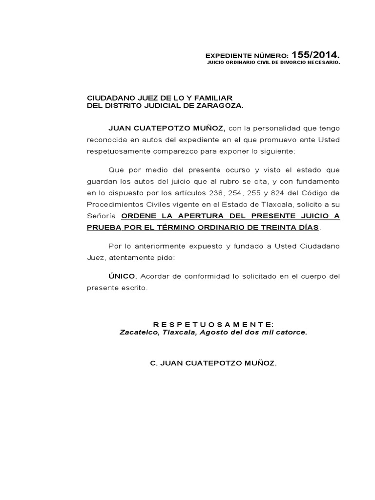 Escrito Solicitando Apertura de Periodo Probatorio Divorcio Juan ...
