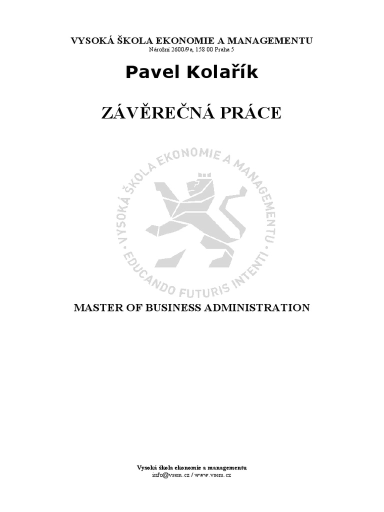 MBA Zaverecna Prace Vzor | PDF