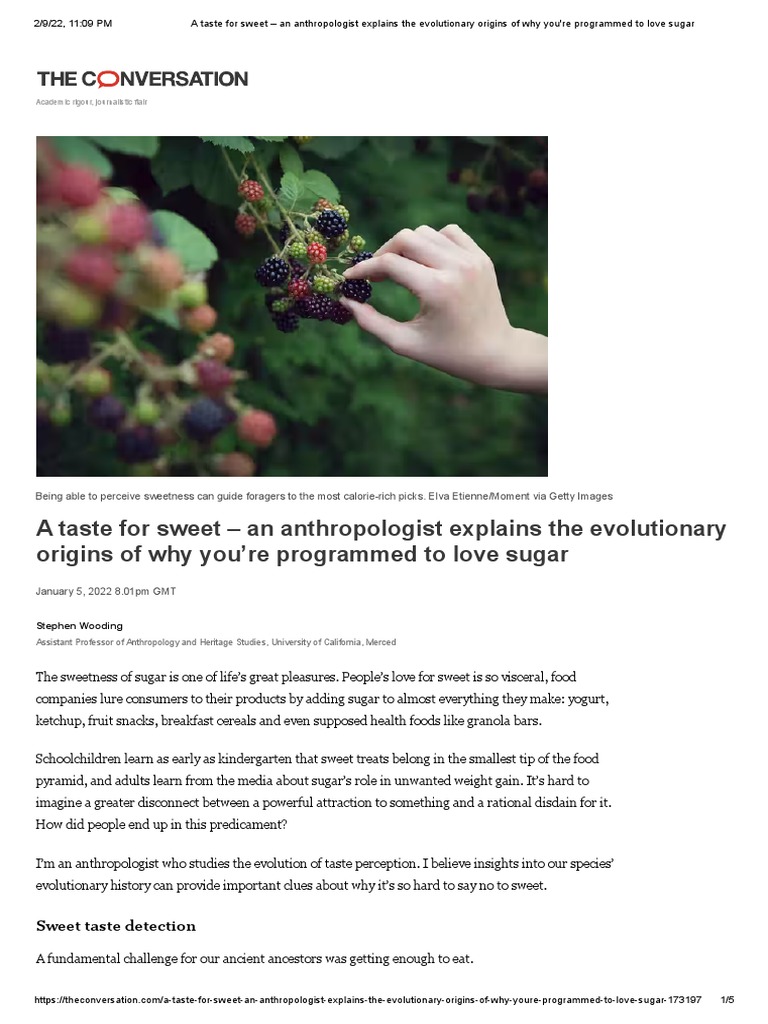Wooding 2022 - A Taste For Sweet - An Anthropologist Explains The ...
