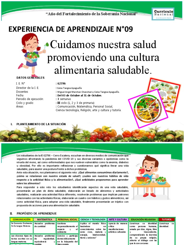 Experiencia de Aprendizaje N°9 | PDF | Aprendizaje | Alimentos