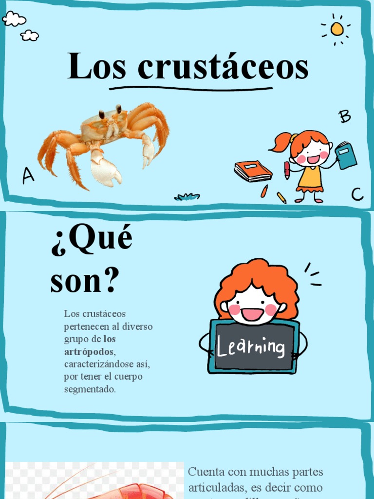 Ejemplos y características de crustáceos | PDF | Estudios de idiomas ...