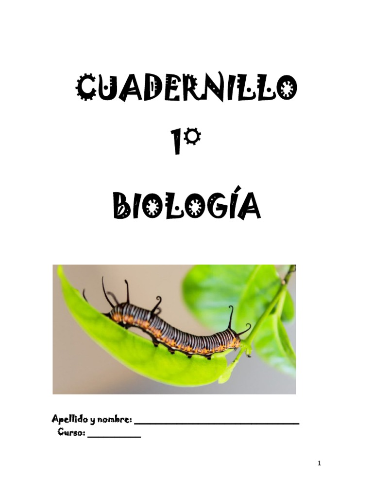 Cuadernillo Biologia Pdf Plantas Ecosistema