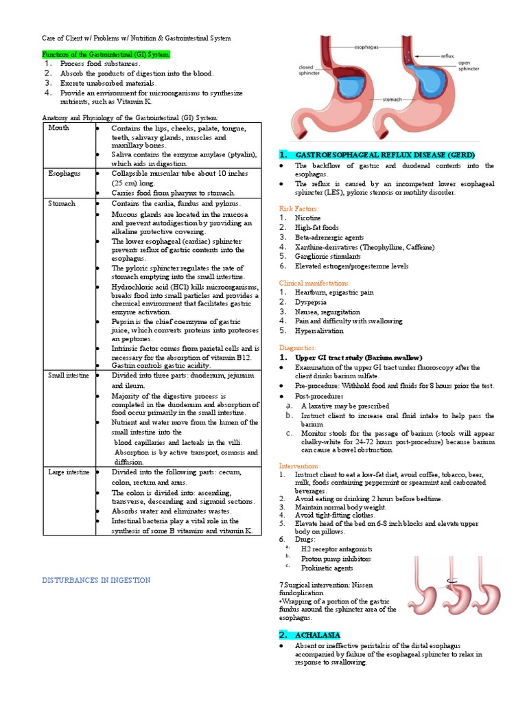 Gastro | PDF | Stomach | Esophagus