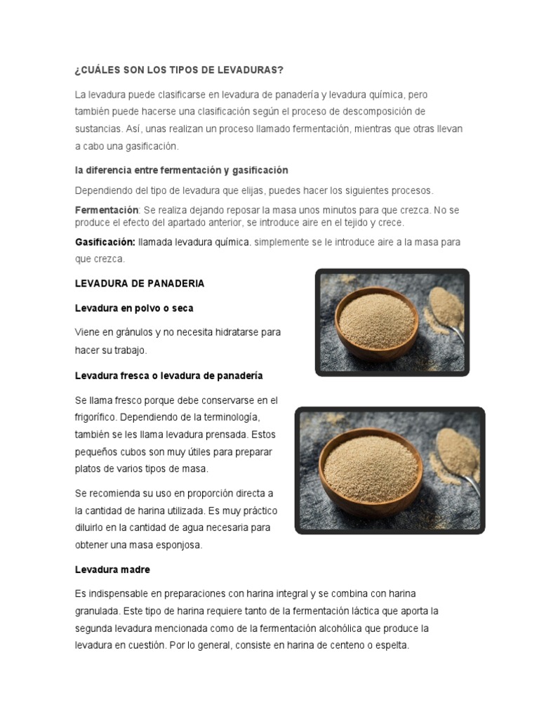 Cuáles Son Los Tipos De Levaduras Pdf Levadura Panes
