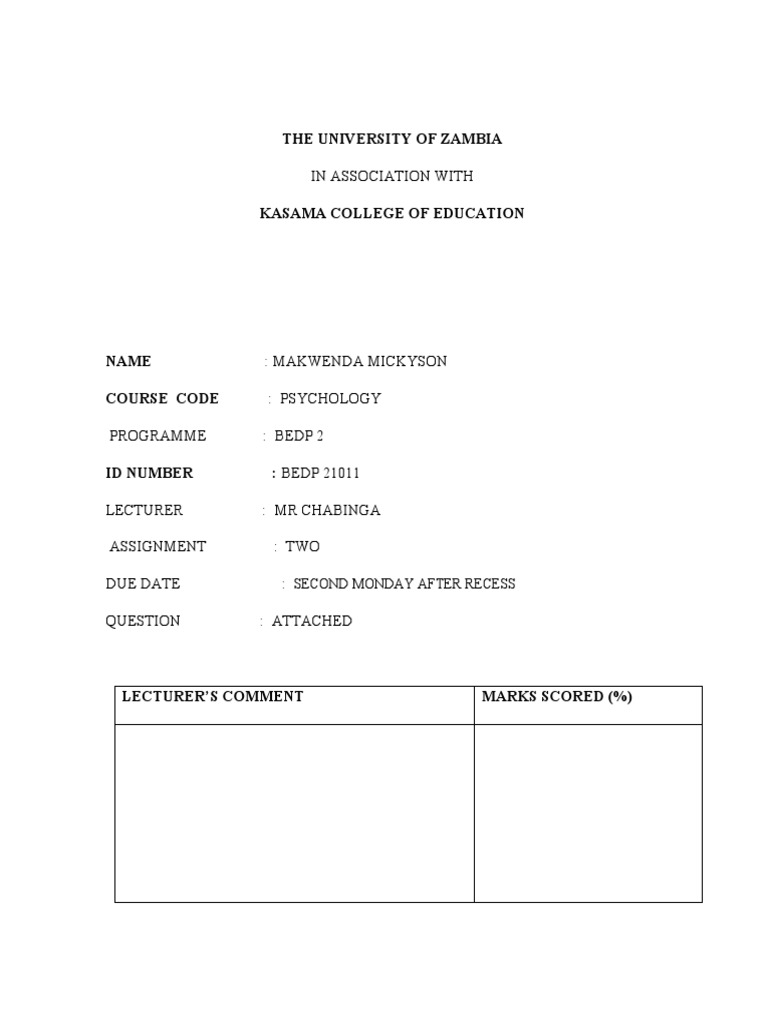Piaget's Preoperational Stage Explained | PDF | Cognitive Development ...