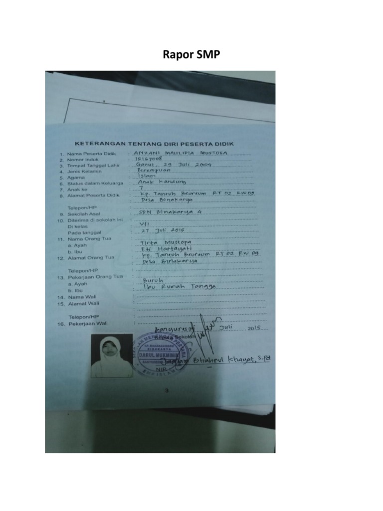 Softfile Rapor SMP | PDF