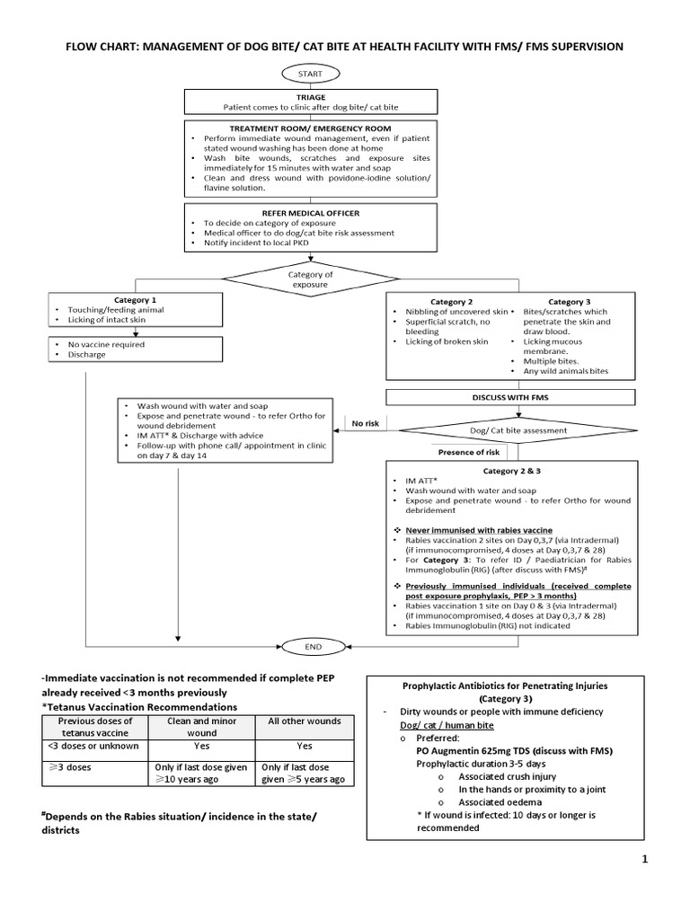 Flow Chart Management of Dog or Cat Bite 17.1.23 (V4) | PDF | Rabies | Wound