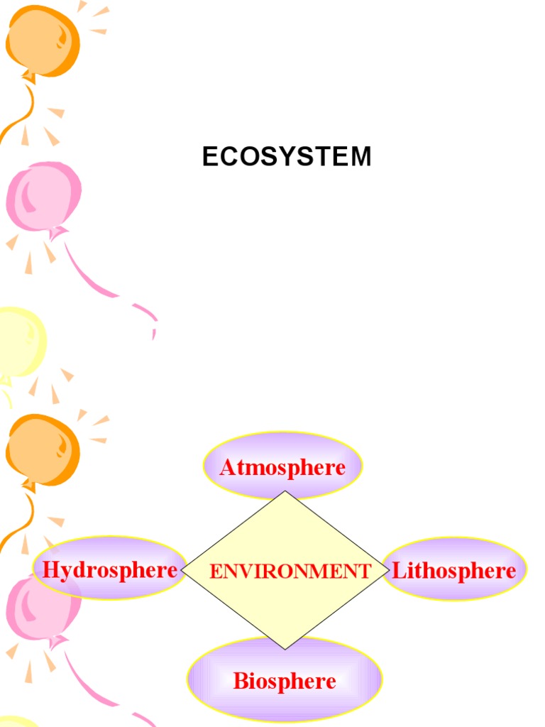 02 Ecosystem | Télécharger gratuitement PDF | Food Web | Ecosystem