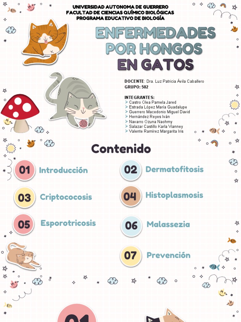 Enfermedades Por Hongos en Gatos | PDF | Hongo | Gatos