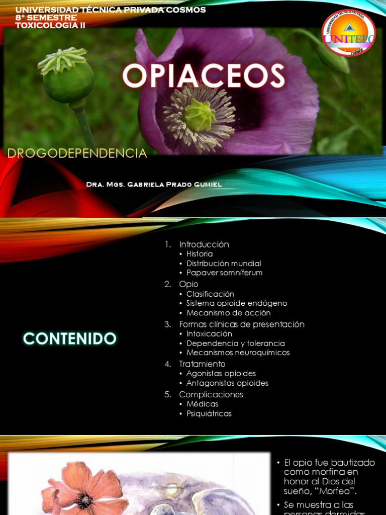 Opiaceos Unitepc | PDF | Opioide | Medicina CLINICA