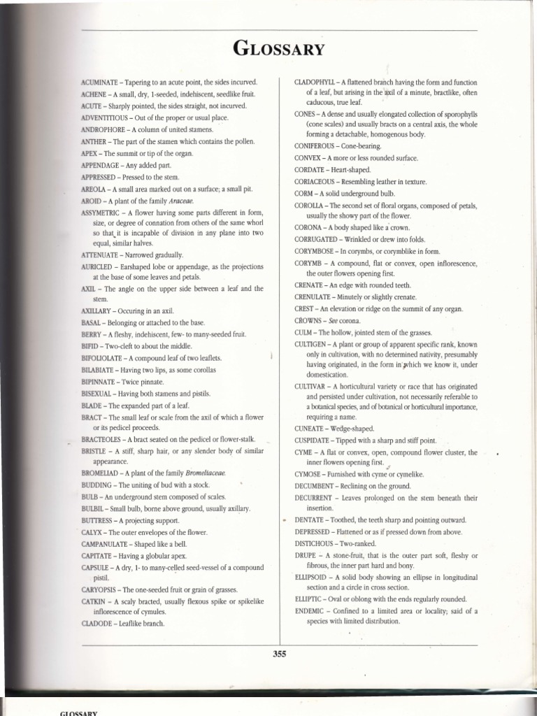 Glossary of Botanical Terms | PDF | Petal | Flowers