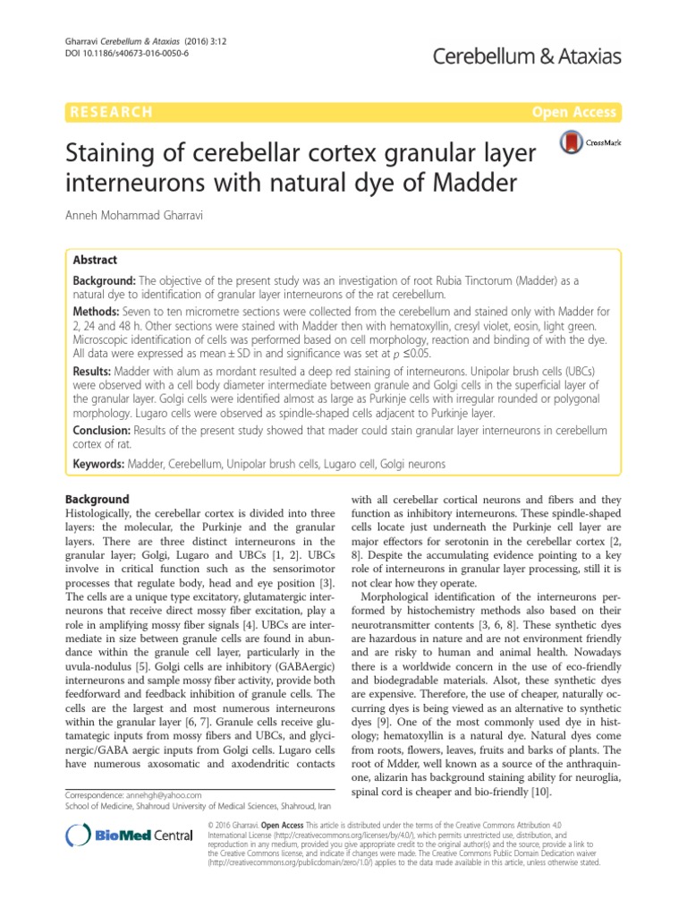 Staining of Cerebellar Cortex Granular Layer Interneurons With Natural ...
