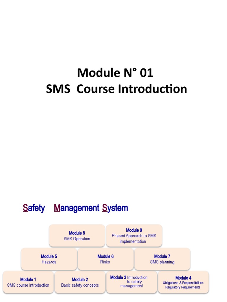 SMS Course | PDF | Risk | Hazards