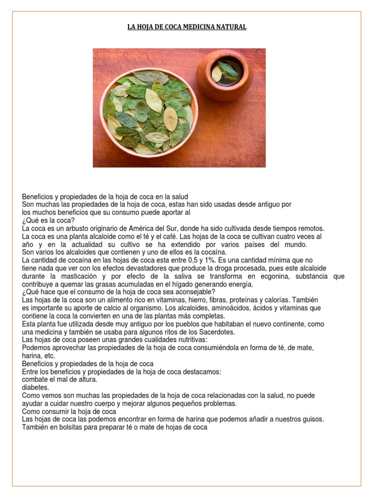 La Hoja de Coca Medicina Natural | PDF | Cocaína | Té