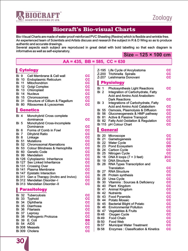 Catalog Biocraft Chart | PDF | Anatomy | Human Body