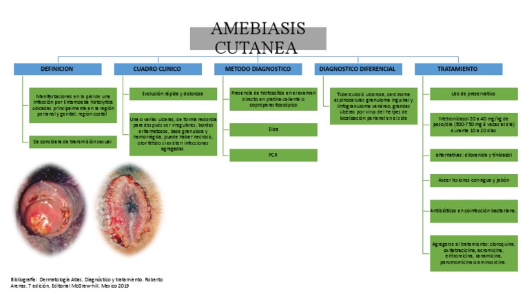Amebiasis Cutanea | PDF | Inmunología | Medicina