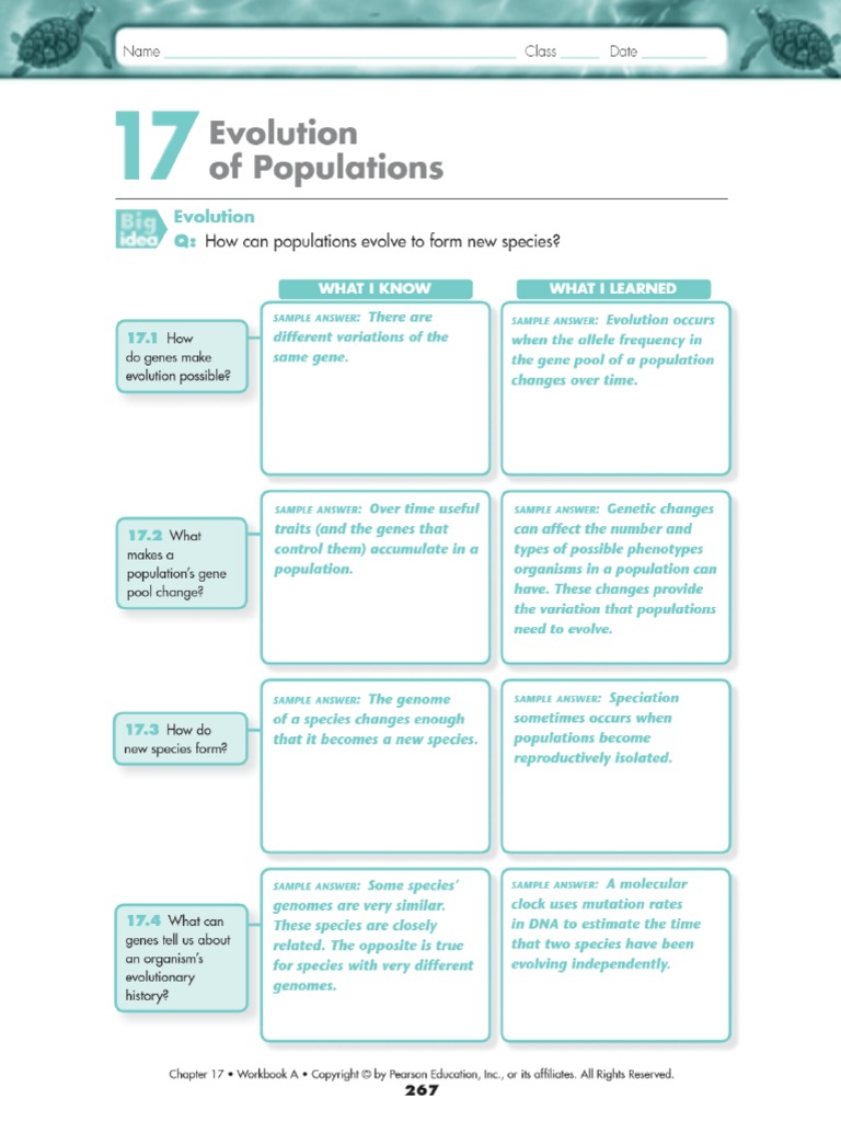 Evolution of Populations Chapter 18 Answers | PDF
