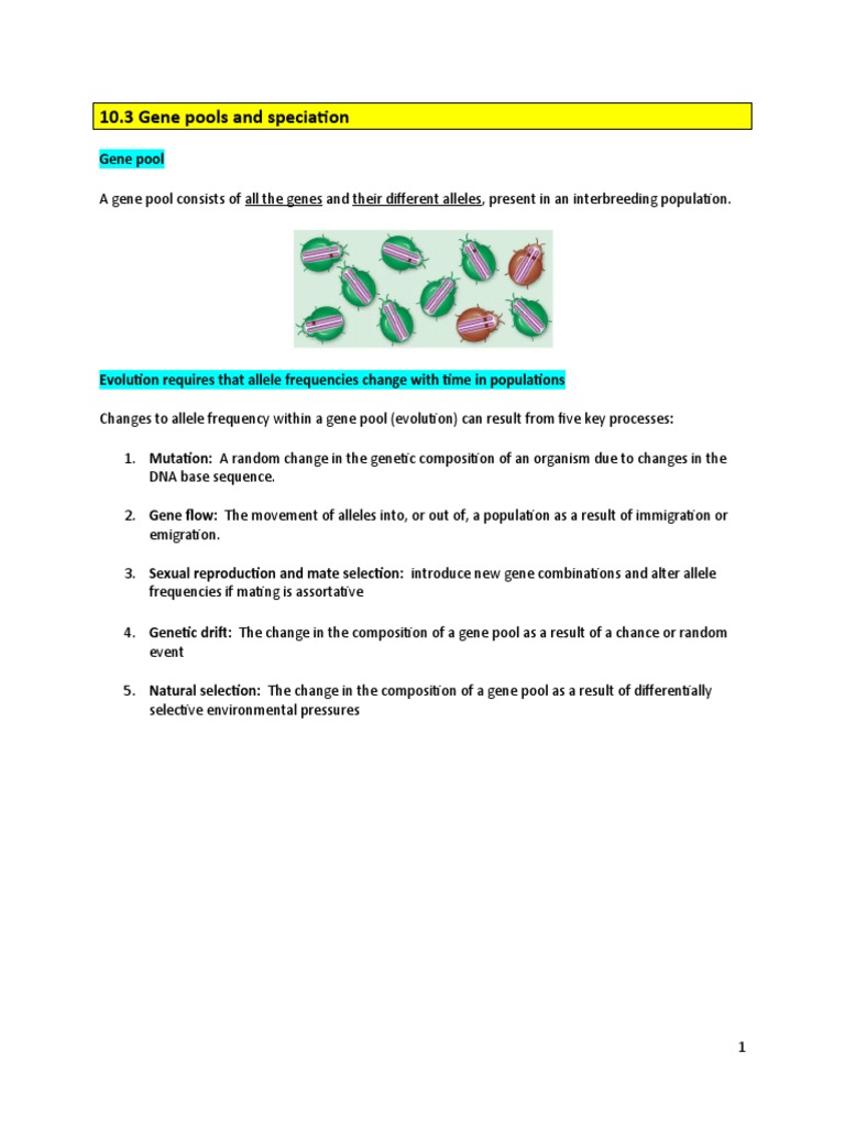 10.3 Gene Pools and Speciation | PDF | Ploidy | Evolution