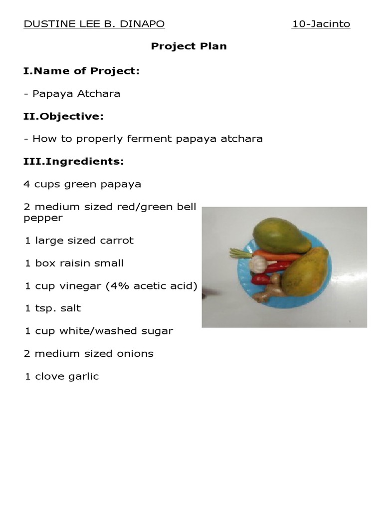 Project Plan (Papaya Atchara) | PDF