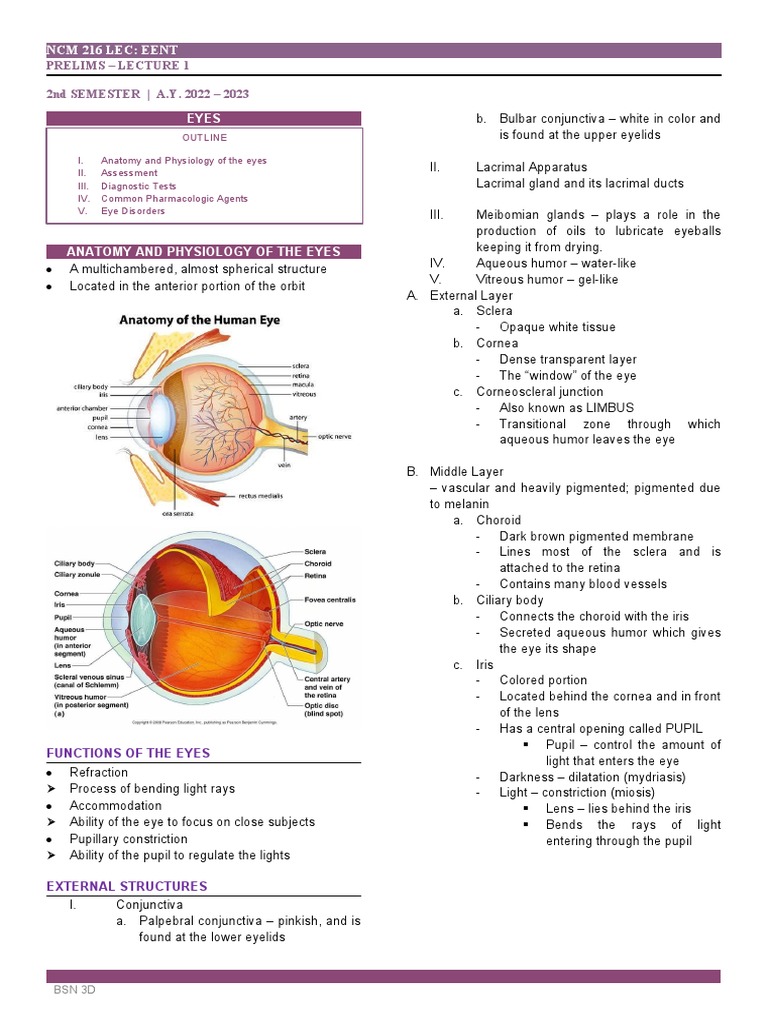 Eyes Lecture 1 | PDF | Human Eye | Eye