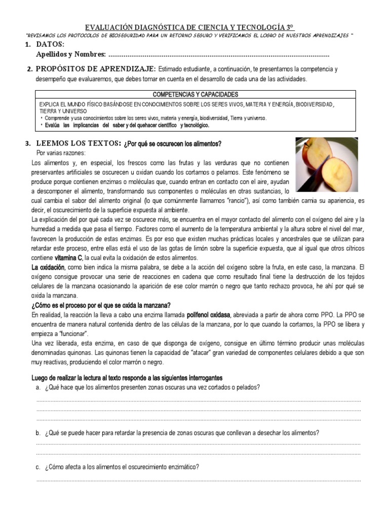 EVALUACION DIAGNOSTICA CIENCIA y TEC. 3° | PDF | Alimentos | Plantas