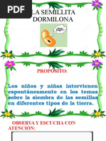 El pajarito y la semilla: un cuento | PDF