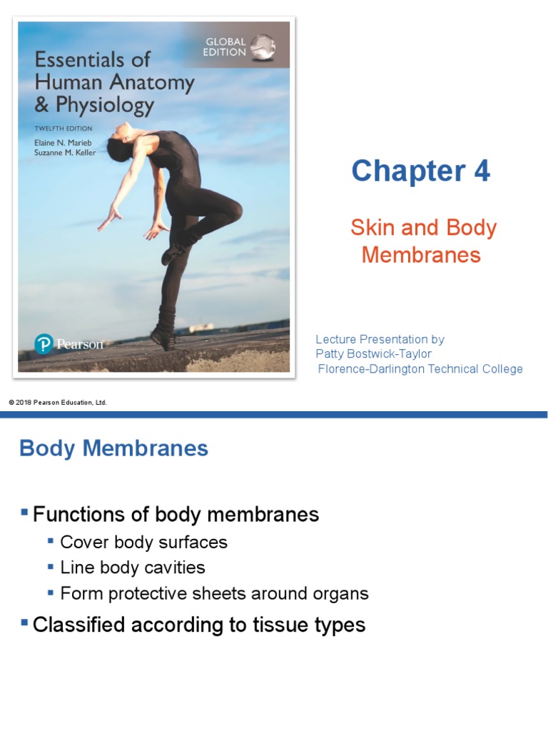 Skin and Body Membranes: Lecture Presentation by Patty Bostwick-Taylor ...