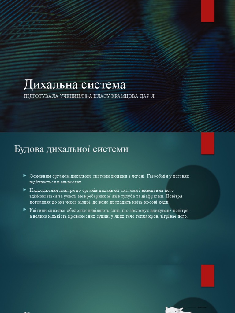 Дихальна система | PDF