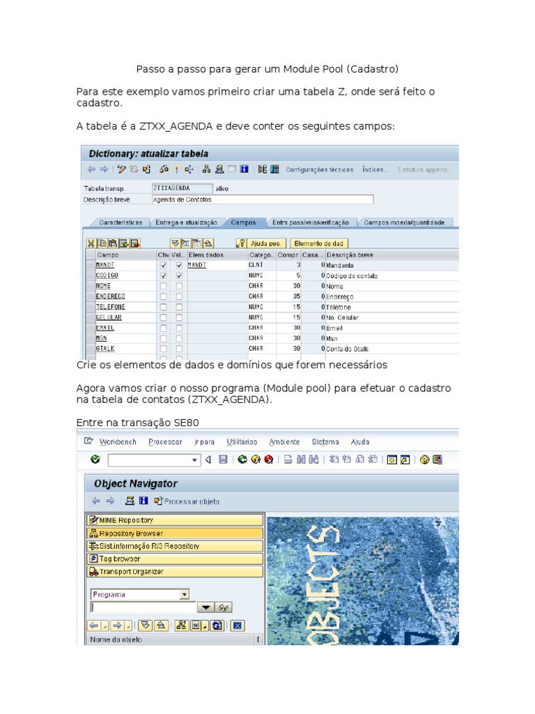 Passo A Passo para Gerar Um Module Pool - Cadastro | PDF | Dados ...