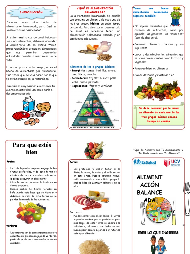 Alimentacion Balanceada | PDF | Alimentos | Vegetales
