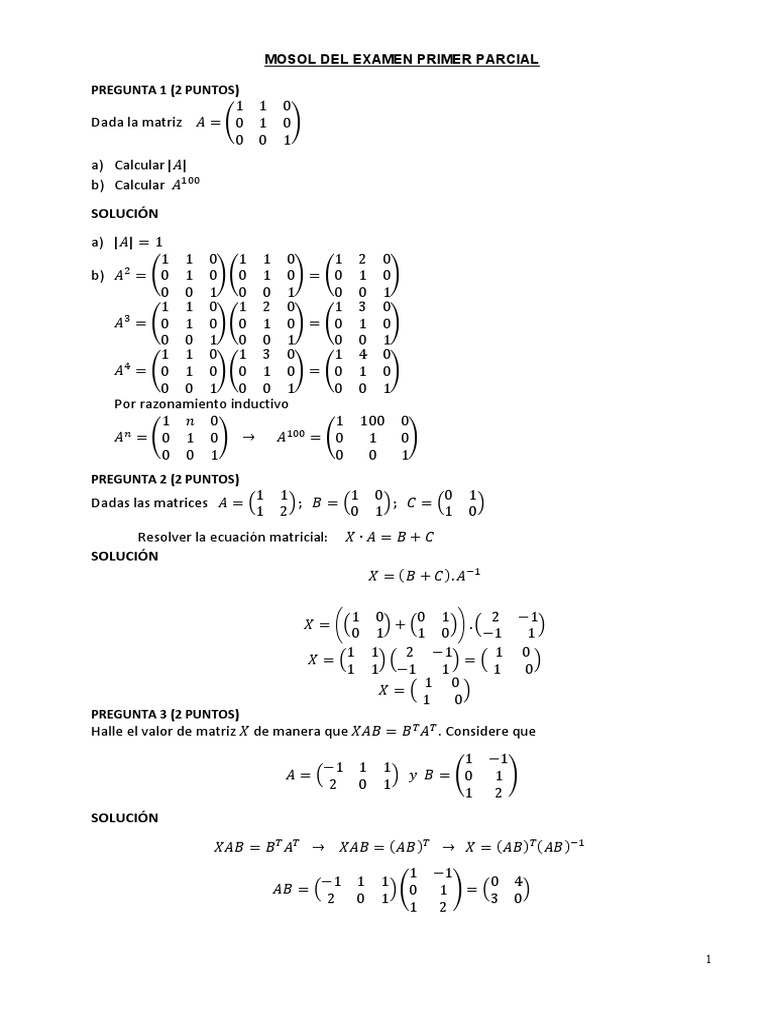Mosol Examen Parcial de Lineal 1 - 2023 | PDF | Matriz (Matemáticas ...
