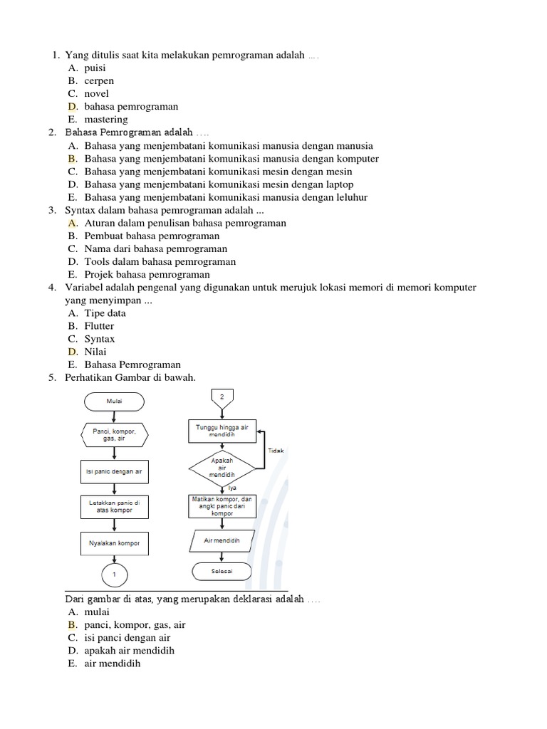 C2 Pemrograman | PDF