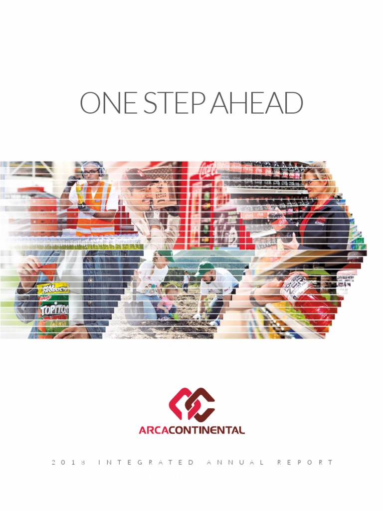 2018 - Integrated Annual Report | PDF | Sustainability | Governance