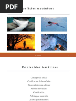 Corificación: Conservación Cadavérica | PDF | Descomposición | Química