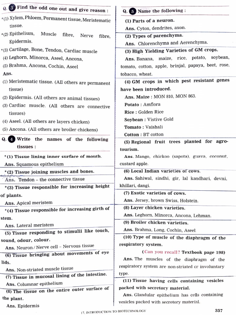 Plant and Animal Tissue Types Explained | PDF | Tissue (Biology) | Botany