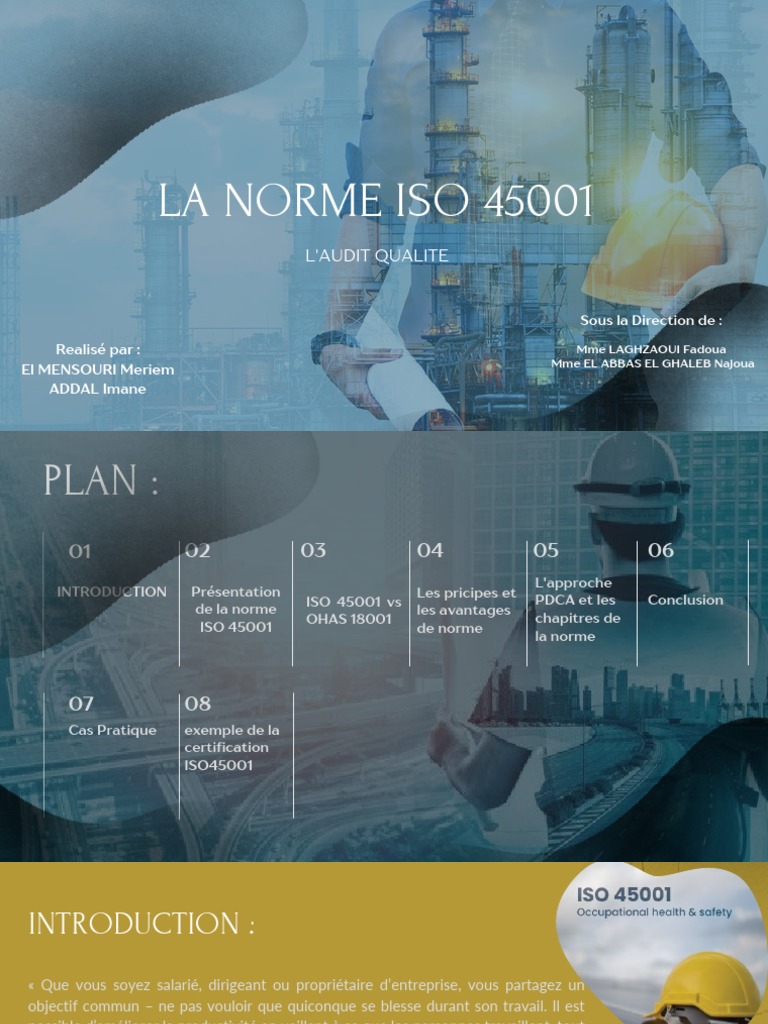 Audit de la norme ISO 45001 | PDF | Sécurité | Business