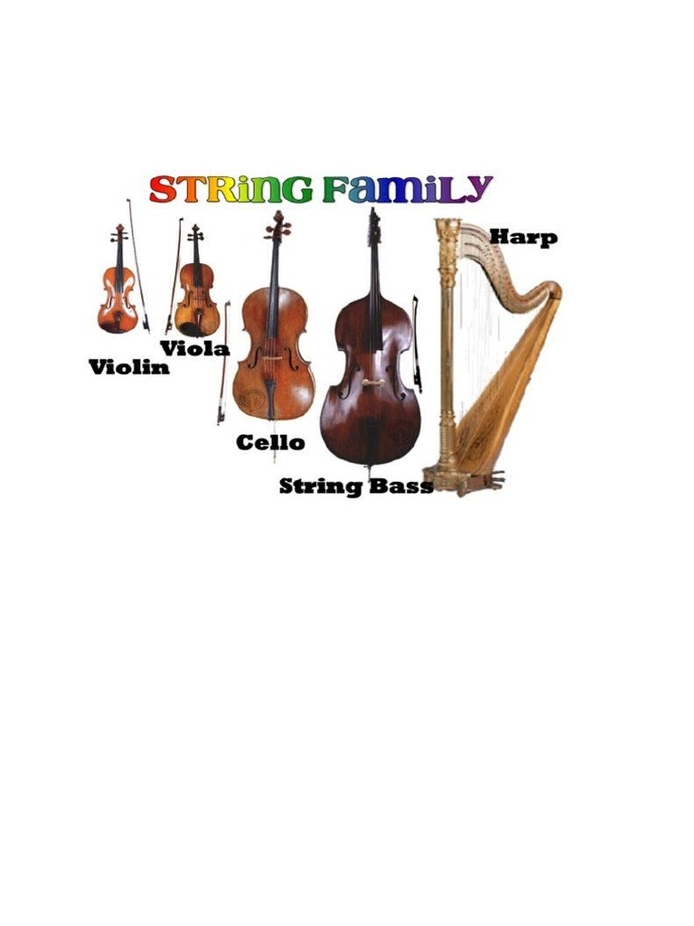 String Family Instruments | PDF String Family Instruments | PDF