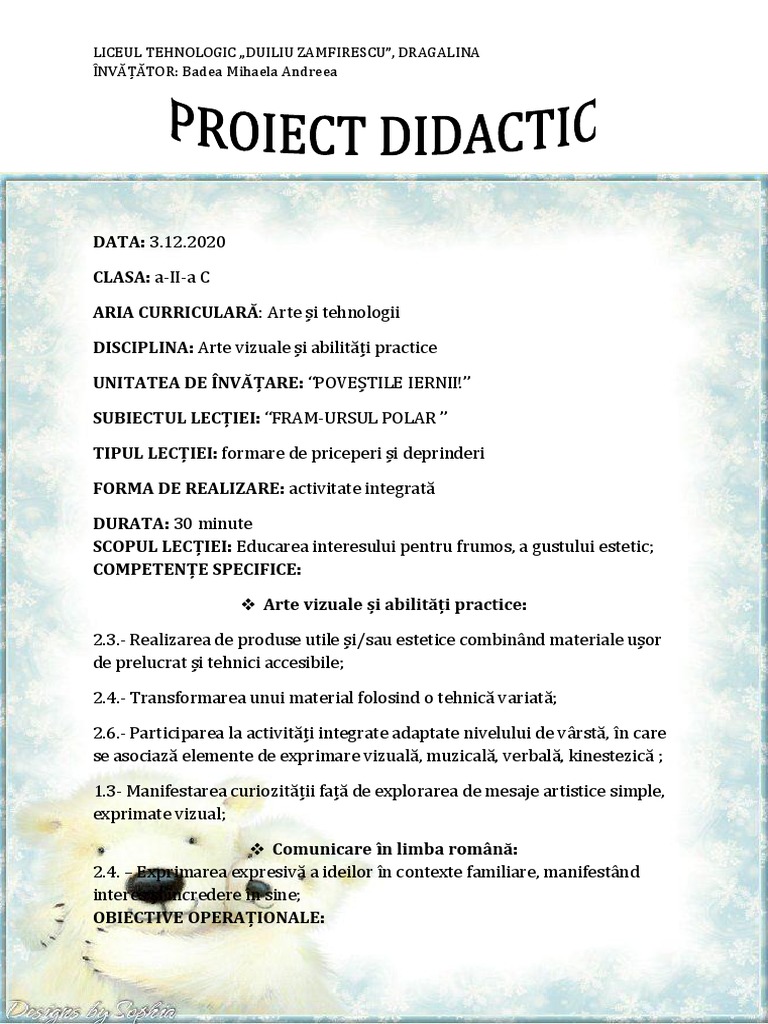 Avap-Proiect Deffinitivat | PDF