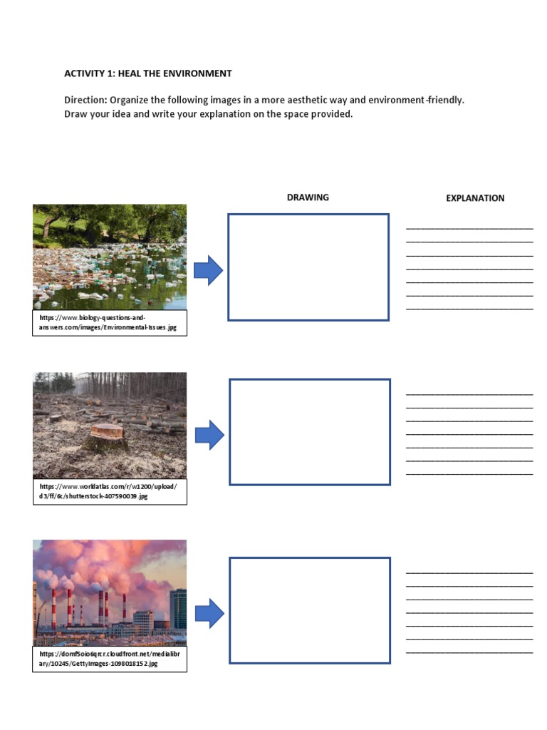 Heal the Environment Activity Worksheet | PDF