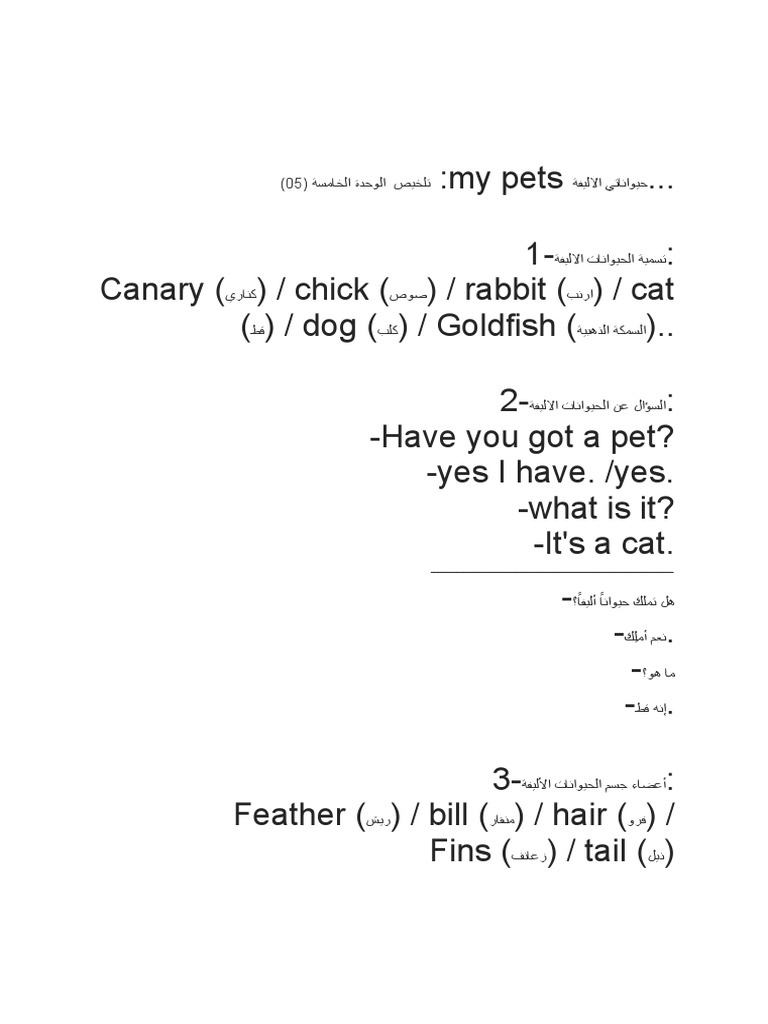 Unit 5 My Pets | PDF
