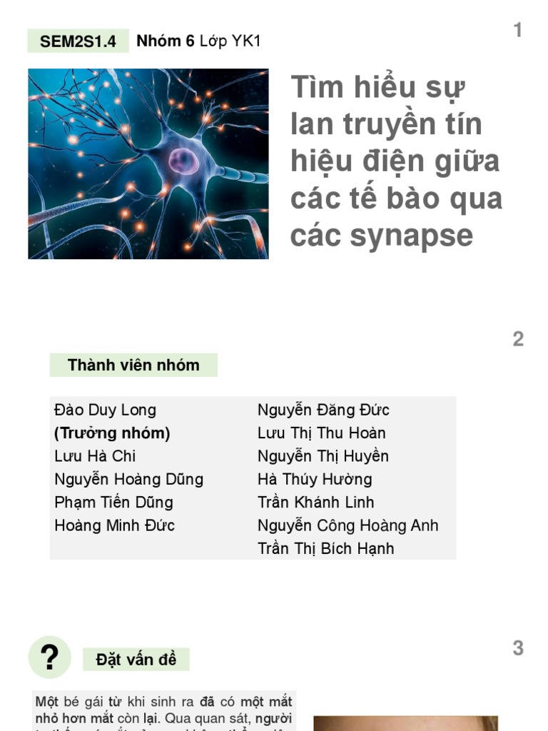 Tìm hiểu sự lan truyền tín hiệu điện giữa các tế bào qua các synapse | PDF