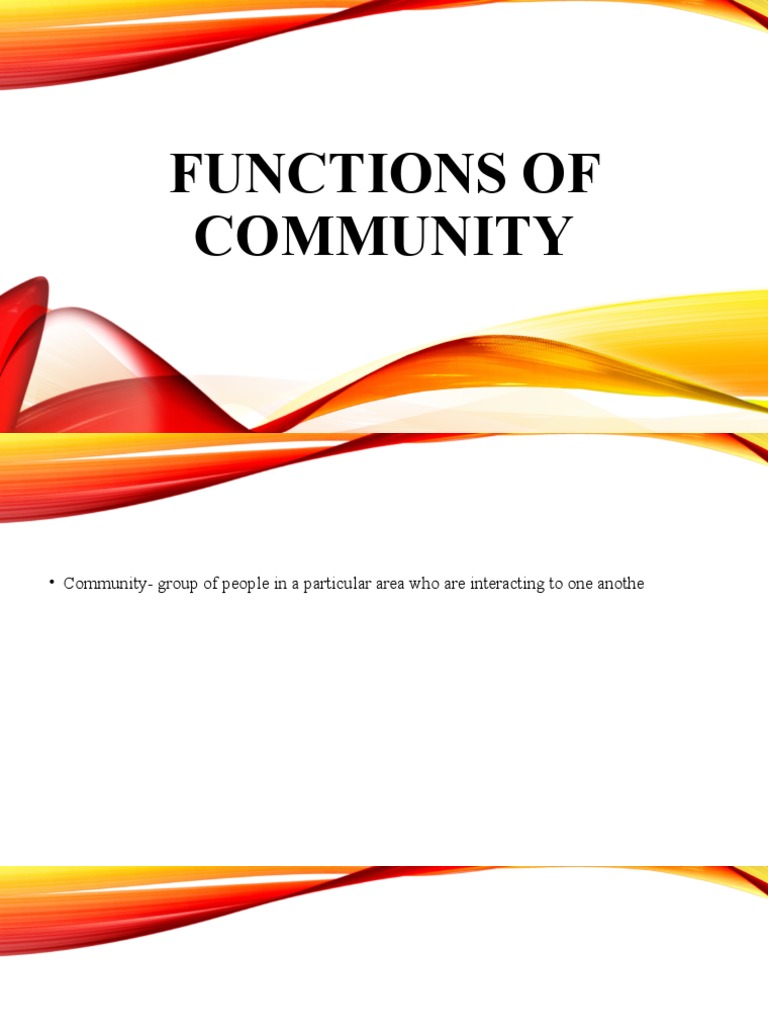 Functions of Community Groups | PDF