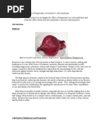 Beetroot Lab Report Final | PDF | Cell Membrane | Spectrophotometry
