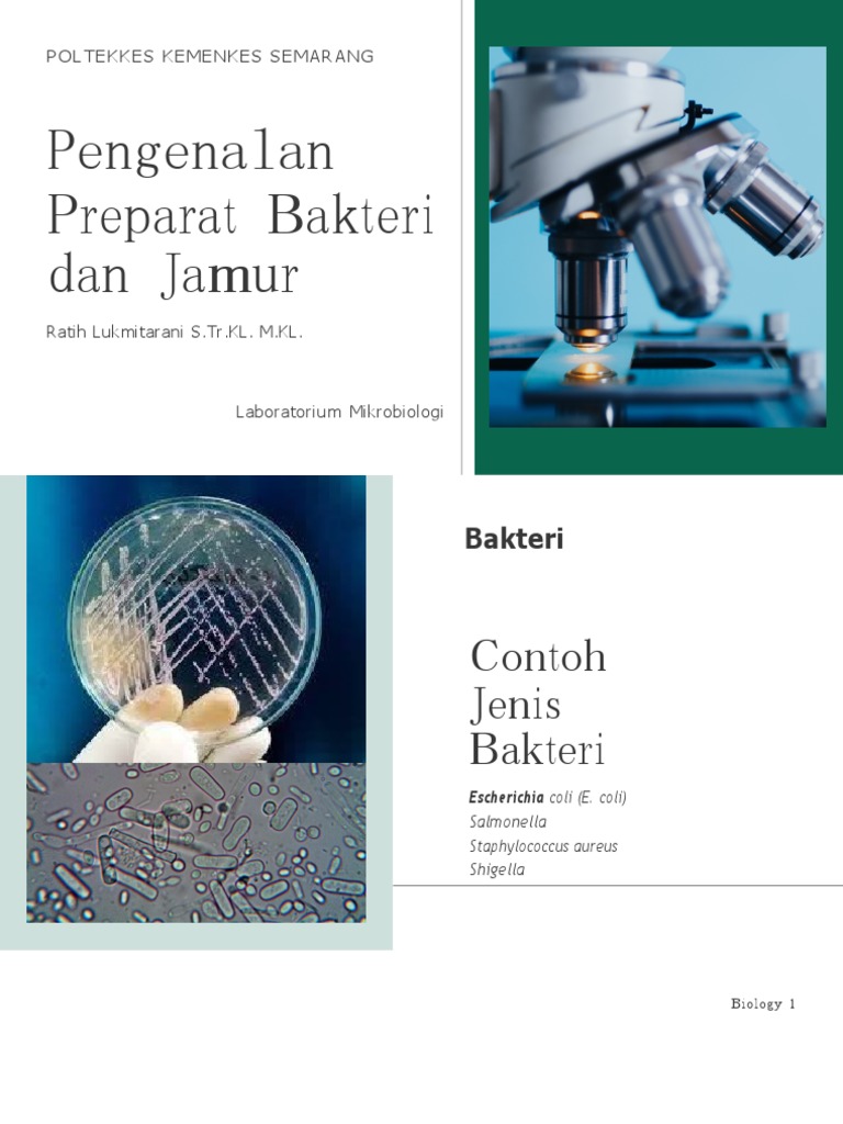 Pengenalan Preparat Bakteri Dan Jamur: Poltekkes Kemenkes Semarang | PDF