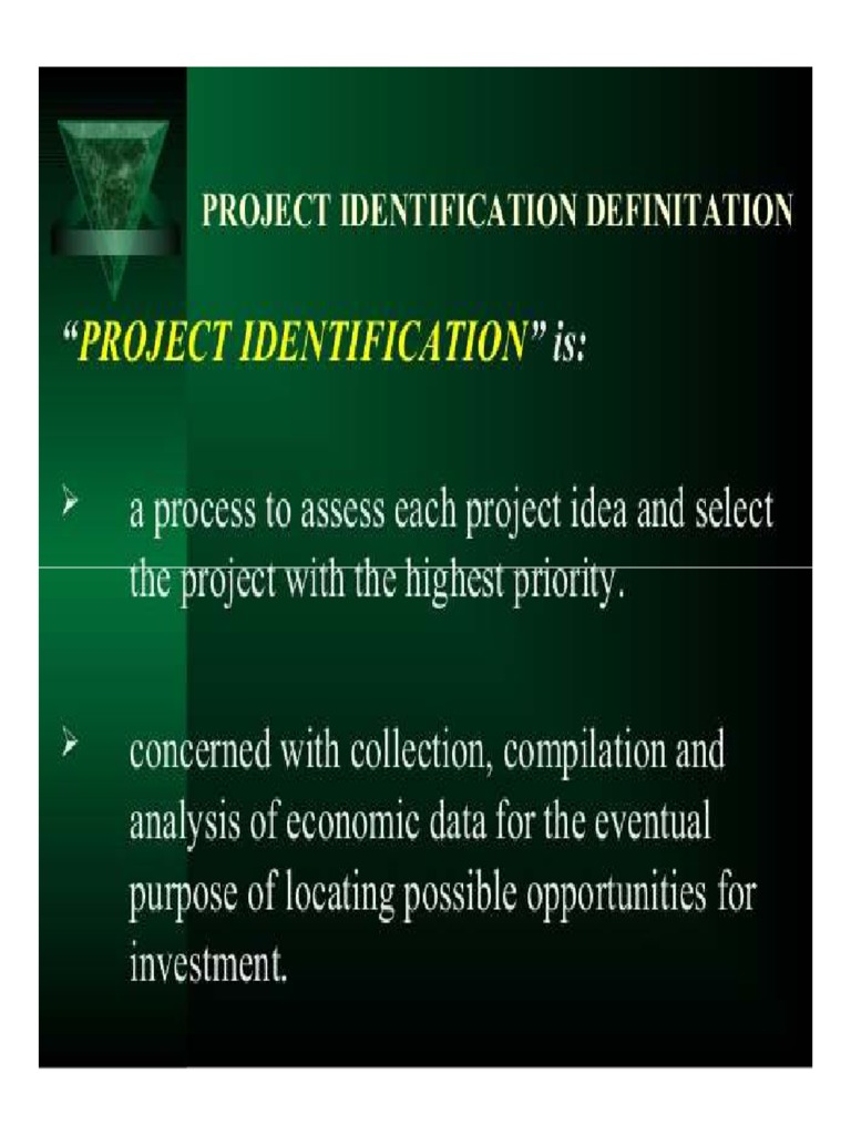 Project Identification | PDF