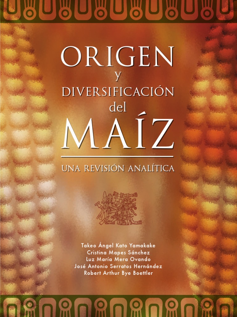 Origen y Diversificación Del MAIZ | PDF | Maíz | Agricultura