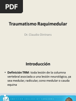 Protocolo Rose | PDF | Reanimación cardiopulmonar | Medicina CLINICA